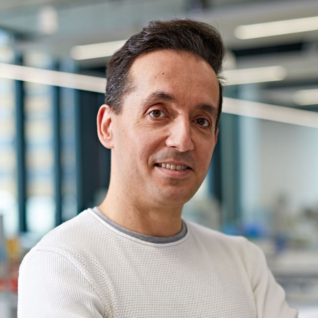 Nik Georgopoulos | Sheffield Hallam University